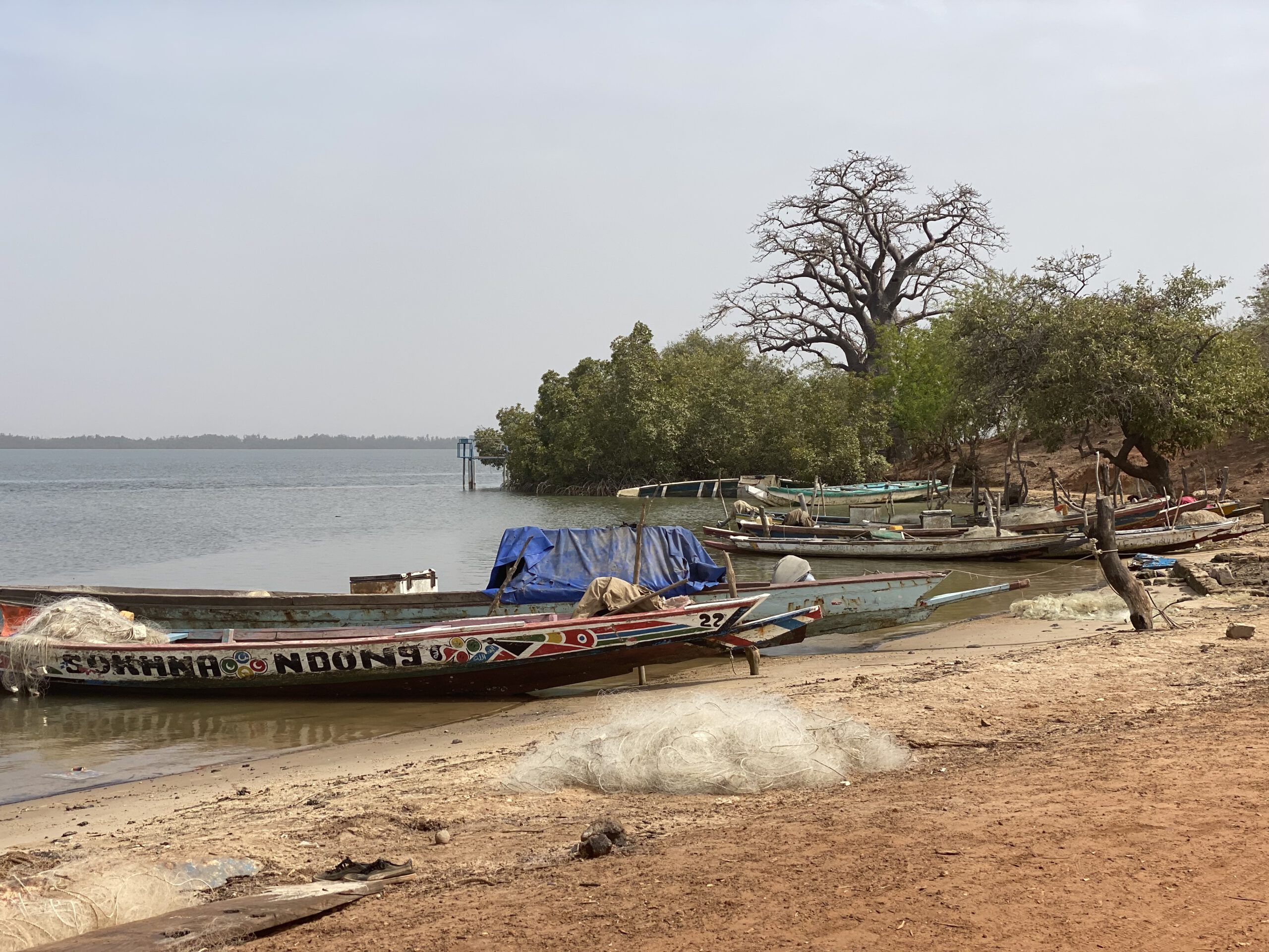 Powerhouse: Providing electricity, water and mobility for Gambia